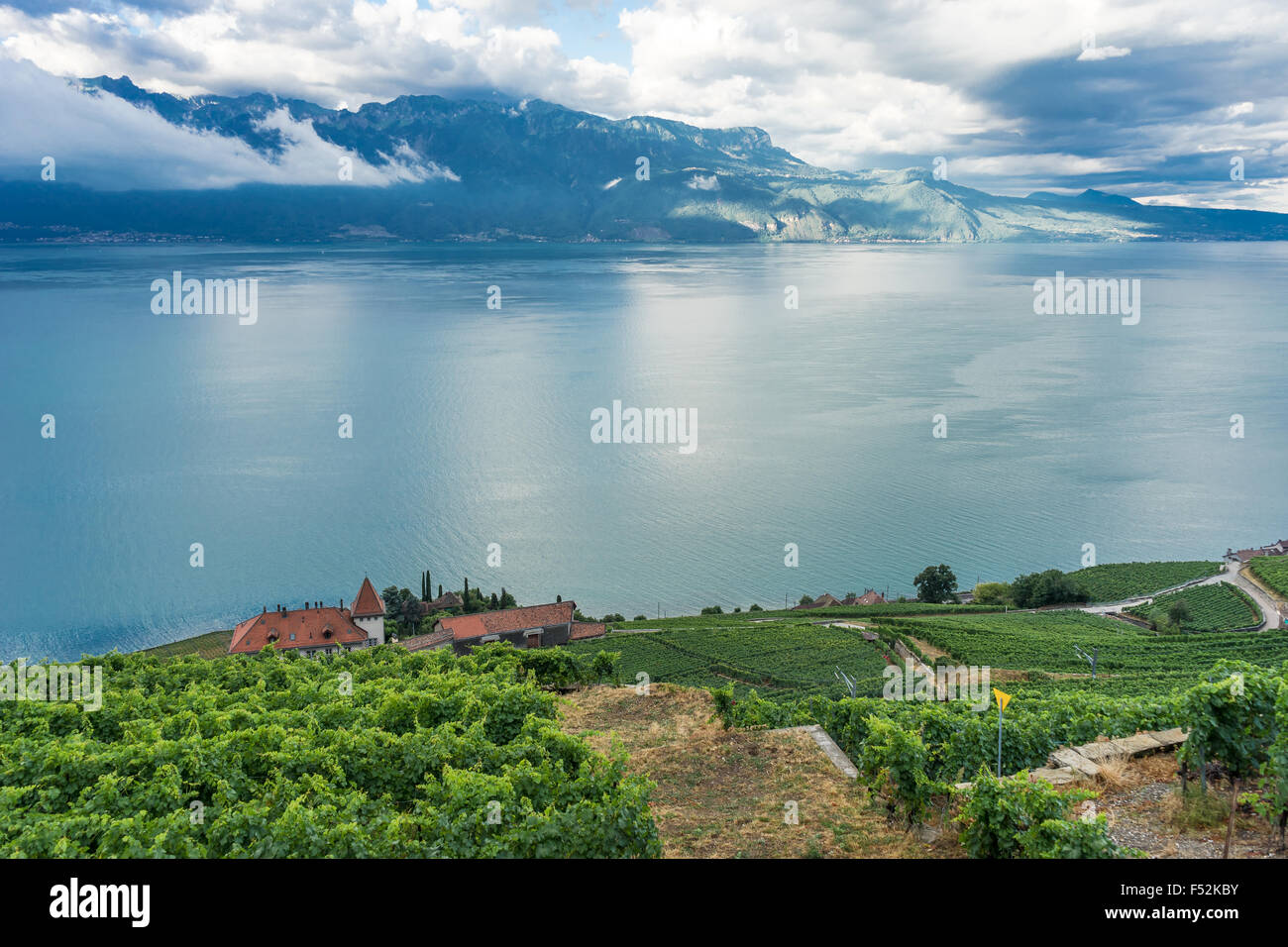 Looking over the vineyards at Lavaux, a UNESCO World Heritage Site ...