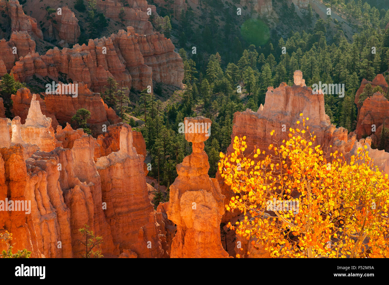 Famous hoodoos bryce canyon hi-res stock photography and images - Alamy