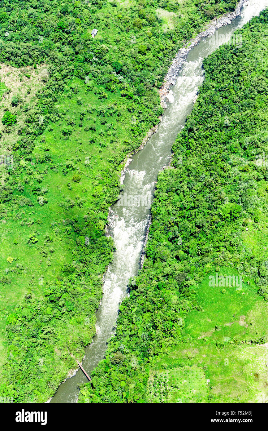 High altitude rain forest hi-res stock photography and images - Alamy