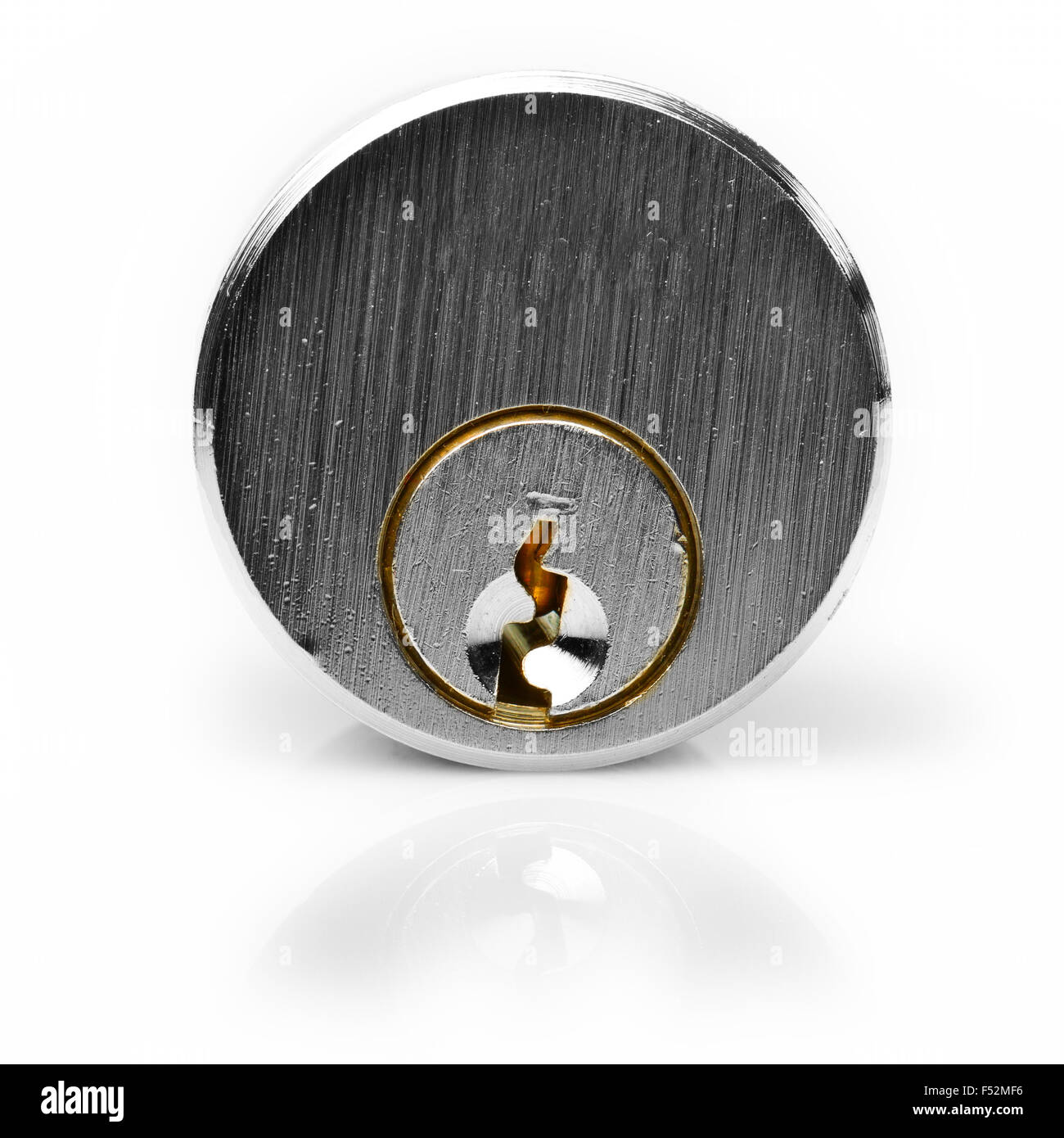 Studio close up isolated Cut Out Stock Images & Pictures - Alamy