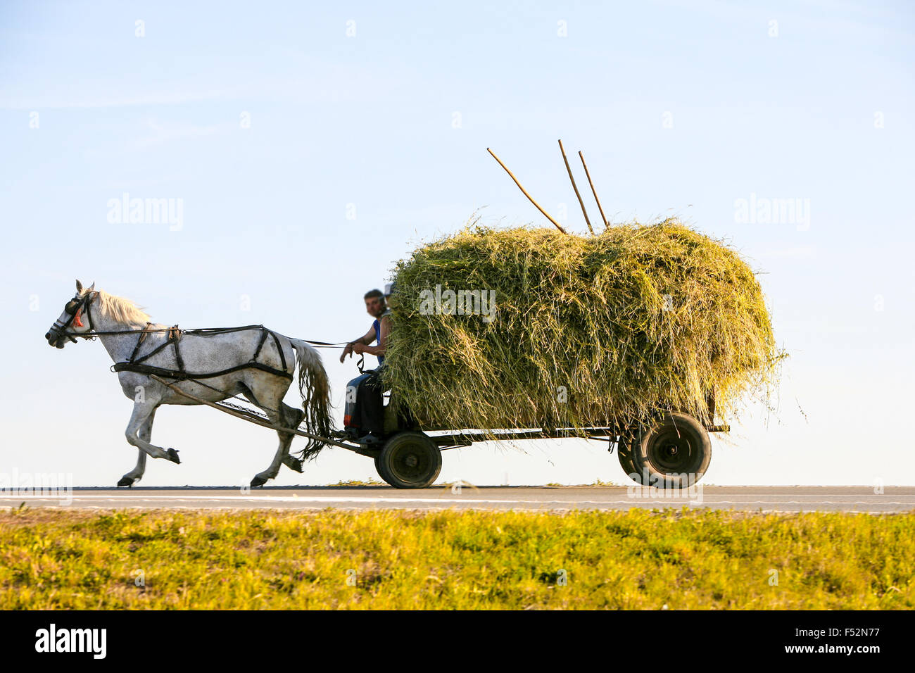 Horse Cart Farm Hay Stock Photos & Horse Cart Farm Hay Stock Images - Alamy
