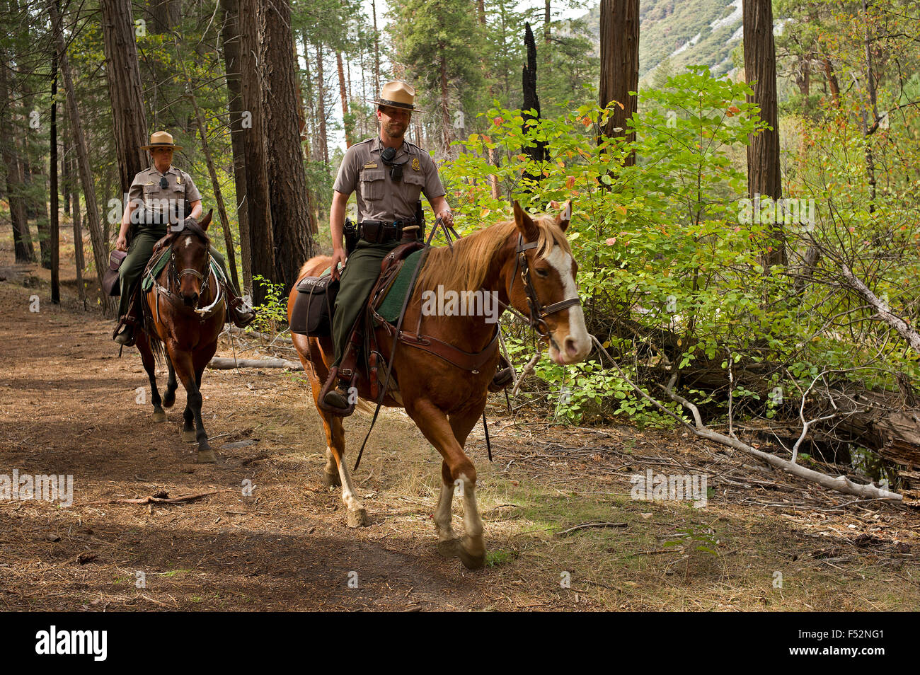 Park ranger on horseback hi-res stock photography and images - Alamy