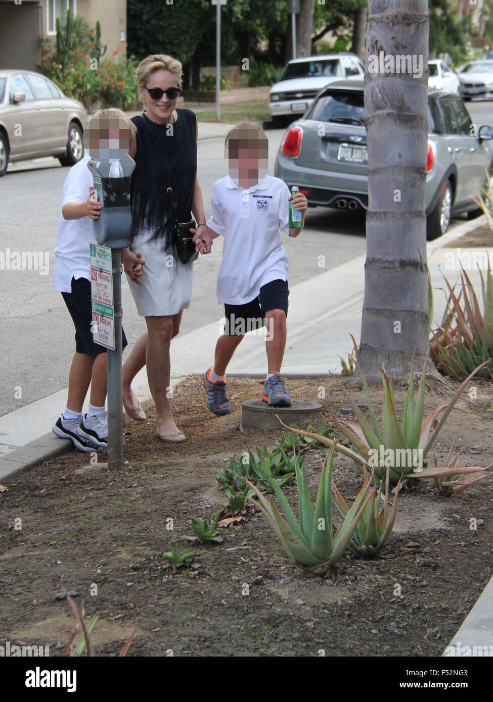 Sharon Stone out with her sons in Beverley Hills crosses the street and ...