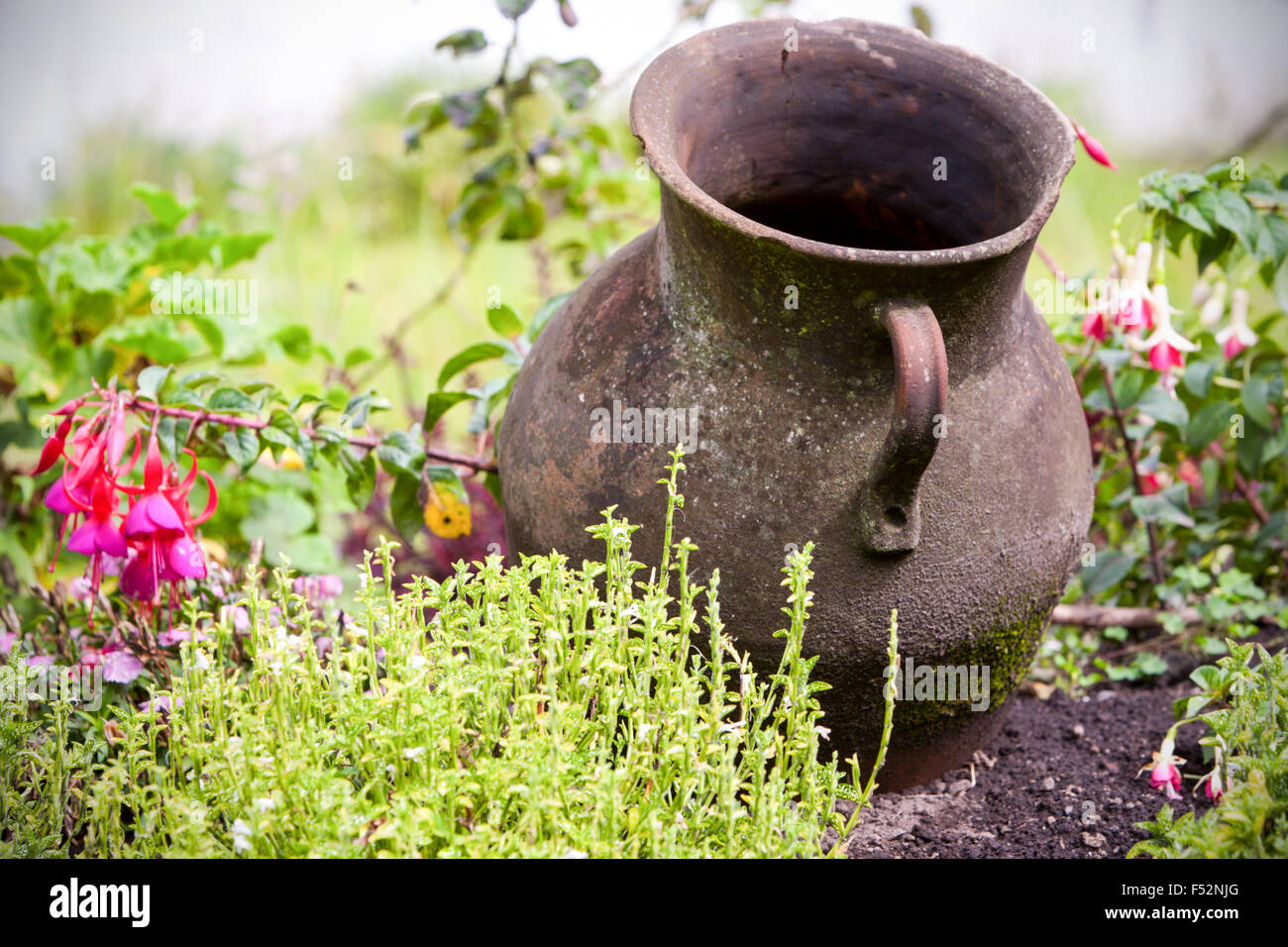 Clay Pot Used As Design Detail In A Colorful Garden Stock Photo - Alamy
