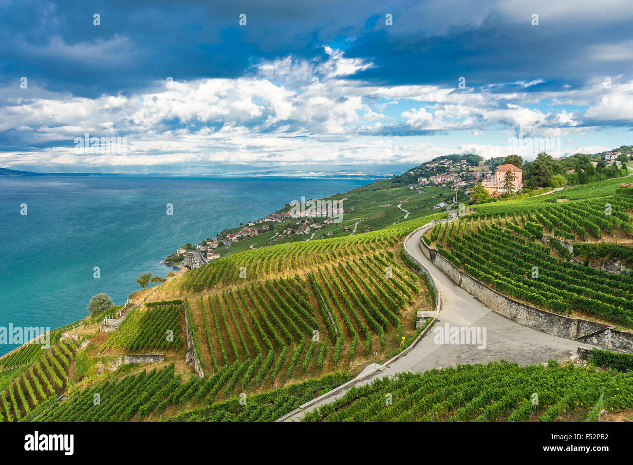 The vineyards at Lavaux and Lake Geneva in summer. UNESCO World ...