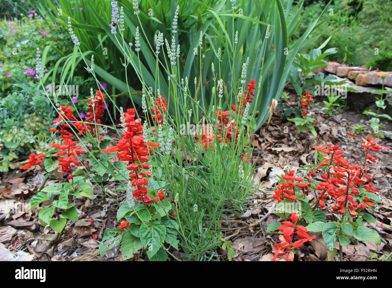 Beautiful new york hi-res stock photography and images - Alamy