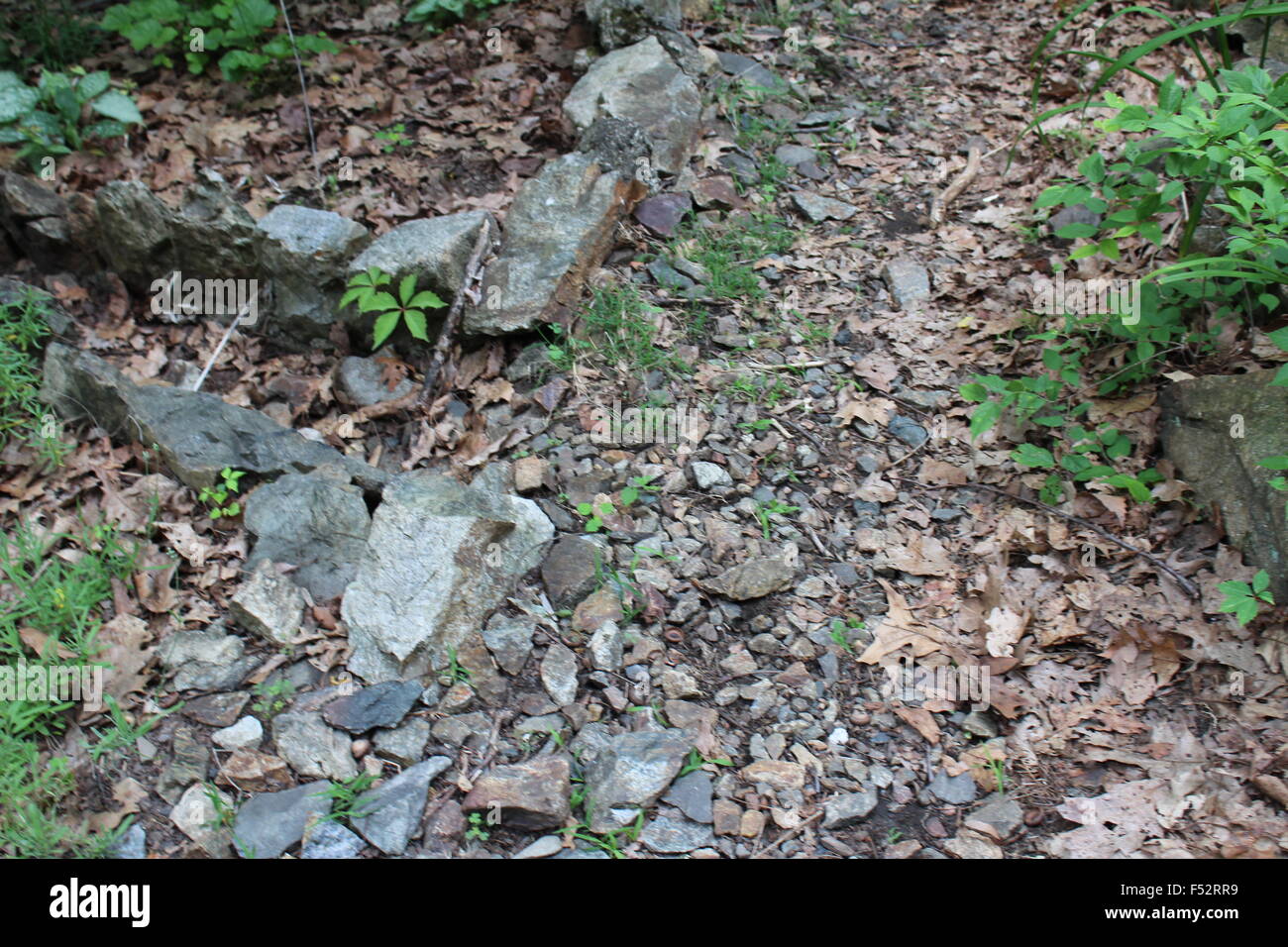 Beautiful New York Landscape and Nature Stock Photo - Alamy