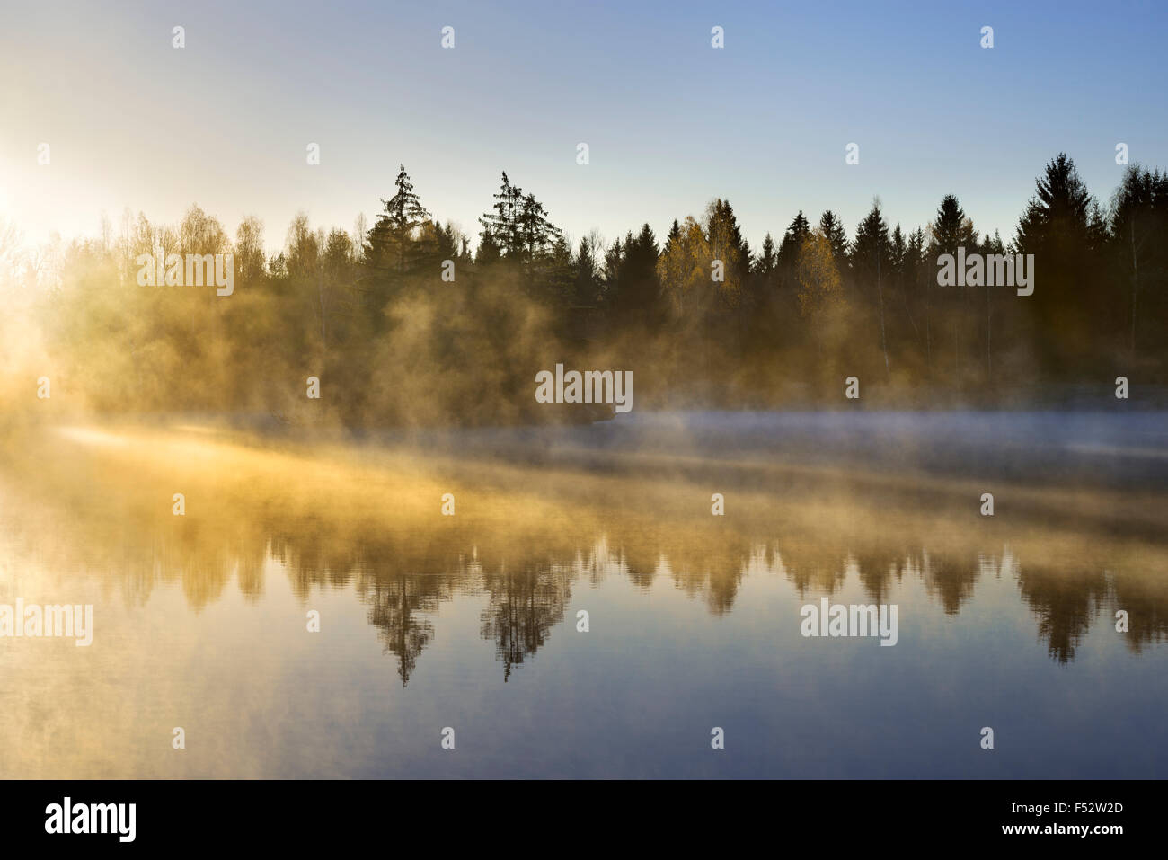 Lake, wood, fog, sun, light, rays, morning, paint, atmosphere, yellow ...