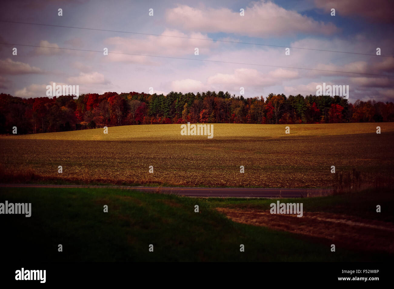 fall autumn scene with clouds and fields harvested for corn Stock Photo ...
