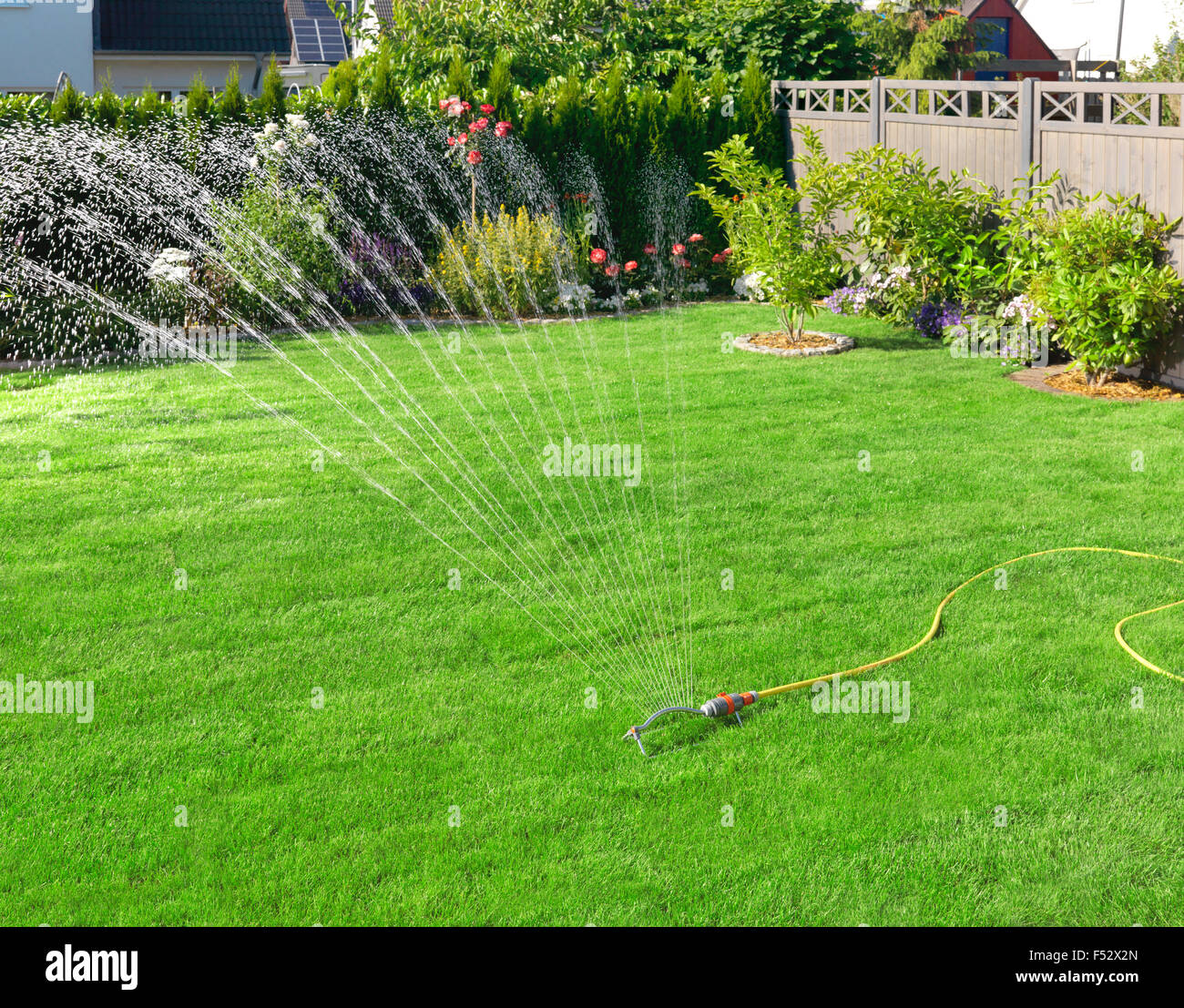 turf, lay, garden, lawn sprinkler, lawn, water, sprinkle Stock Photo ...