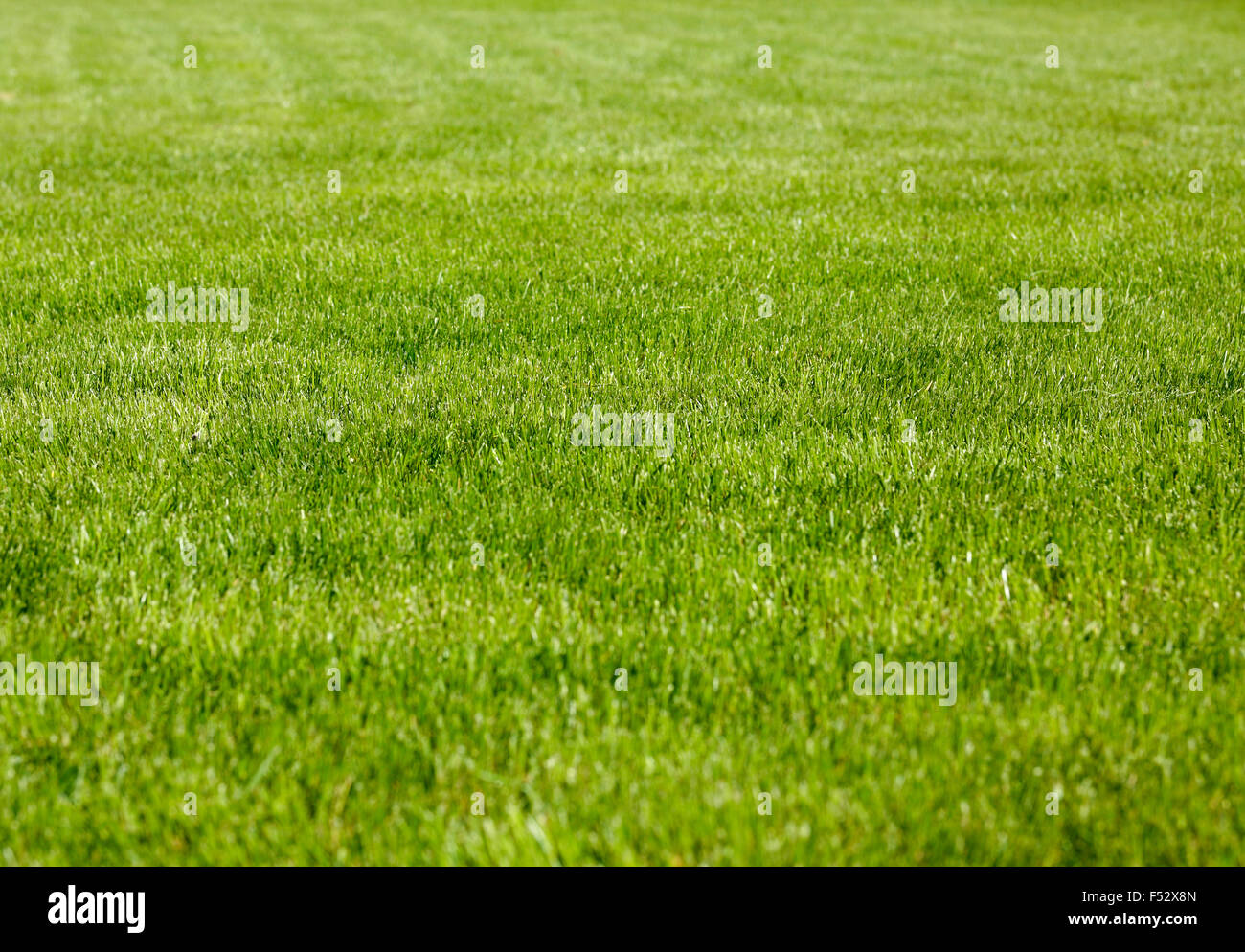 turf, lay, garden, lawn, grass, result Stock Photo - Alamy