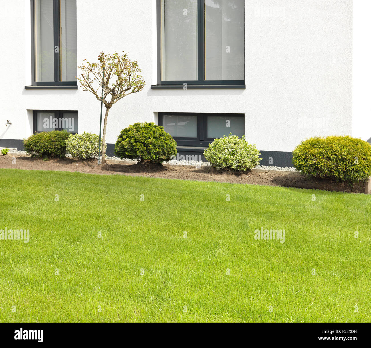Lawn grass grass turf hi-res stock photography and images - Alamy