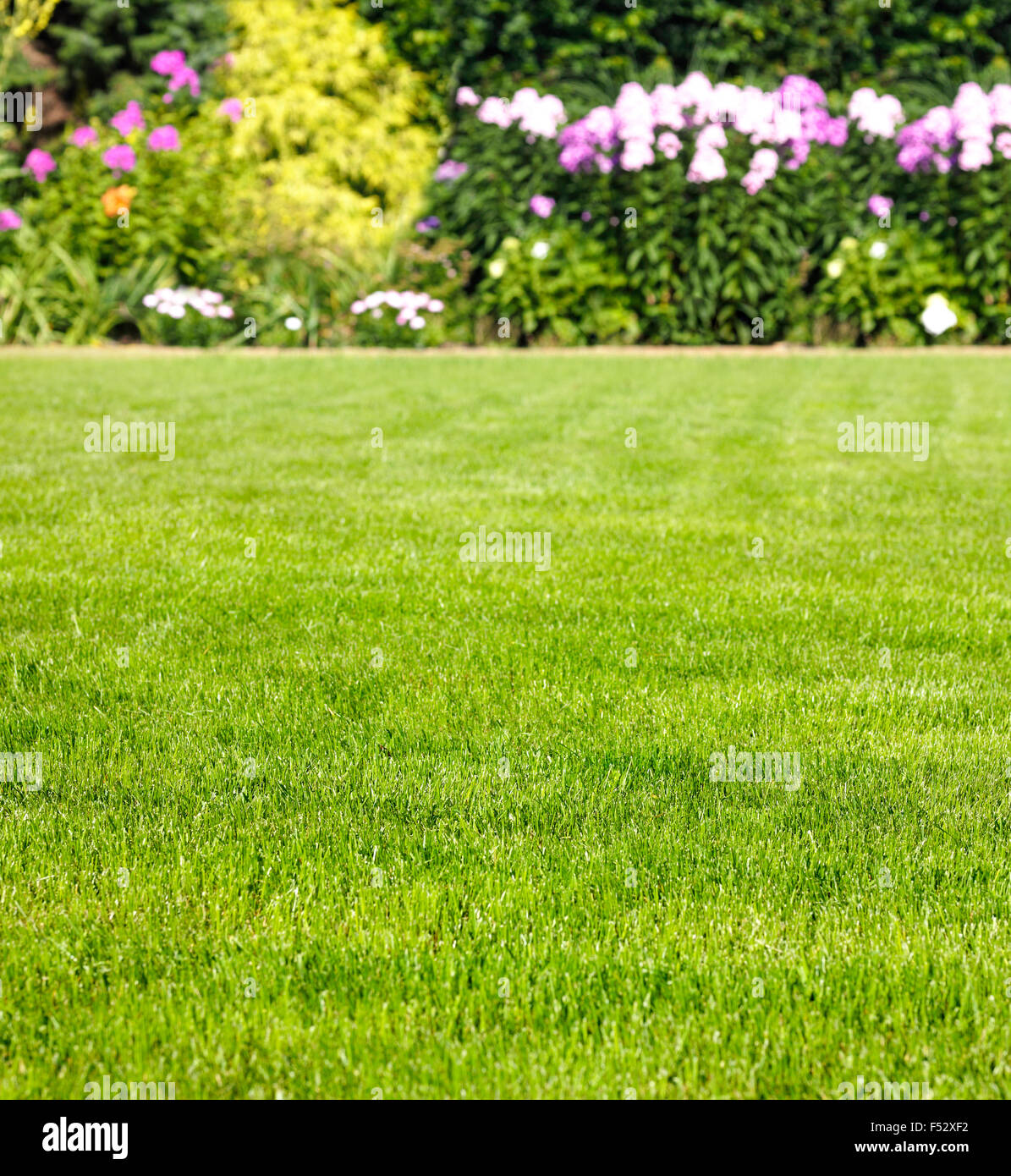Turf garden steps hi-res stock photography and images - Alamy