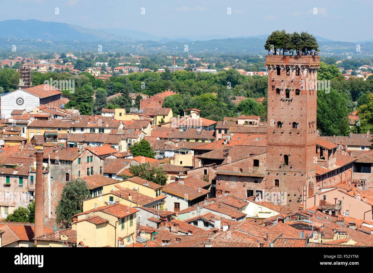 Guinigi tower hi-res stock photography and images - Alamy