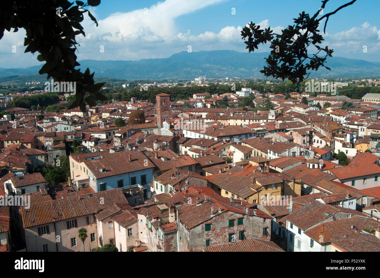 Italy, Tuscany, Lucca, View of Lucca from Torre Guinigi Tower Stock ...