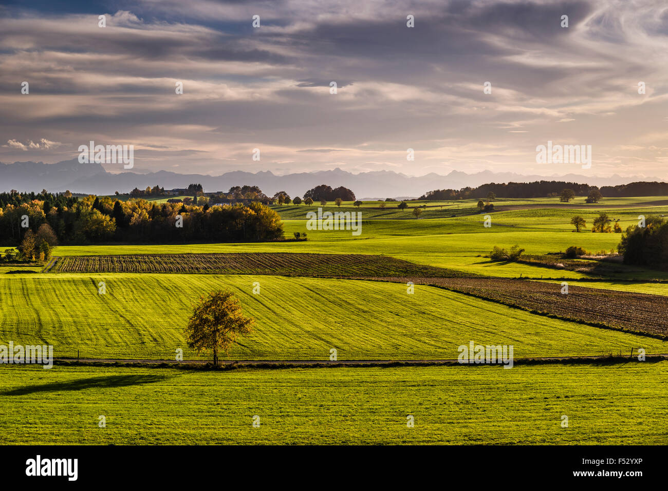 Germany, Bavaria, Upper Bavaria, Fünfseenland, Münsing, autumn scenery ...