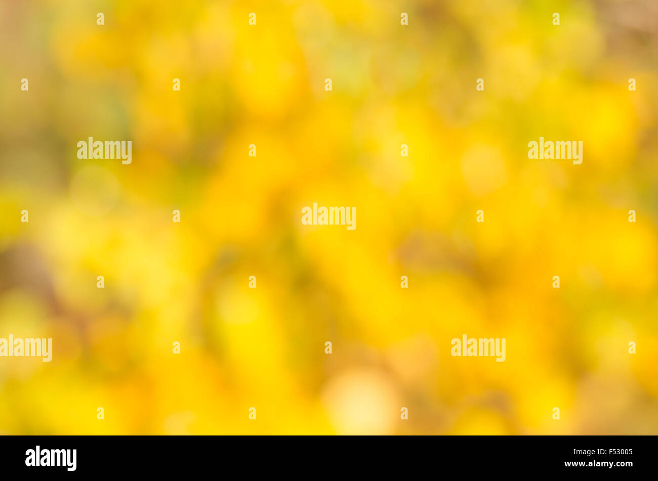 defocused yellow autumn nature background Stock Photo - Alamy