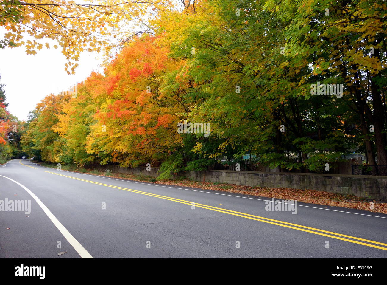 Highway colorful trees road hi-res stock photography and images - Alamy