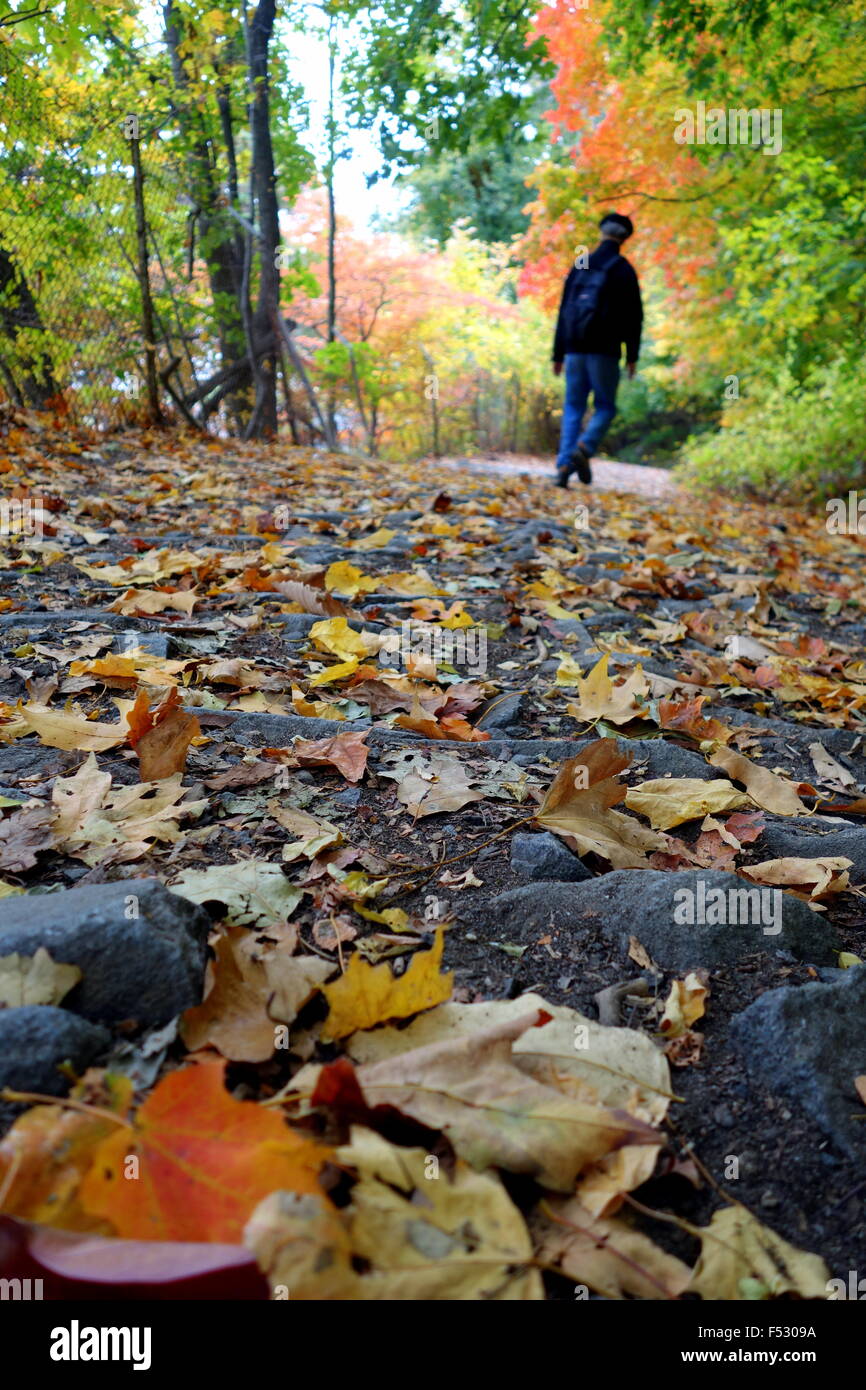 A man hiking to view fall foliage Stock Photo - Alamy