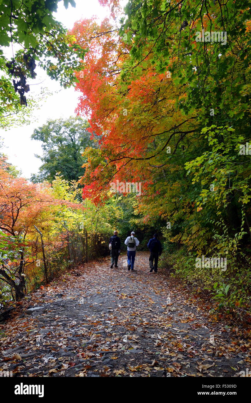 Friends hiking to view colorful fall foliage Stock Photo - Alamy