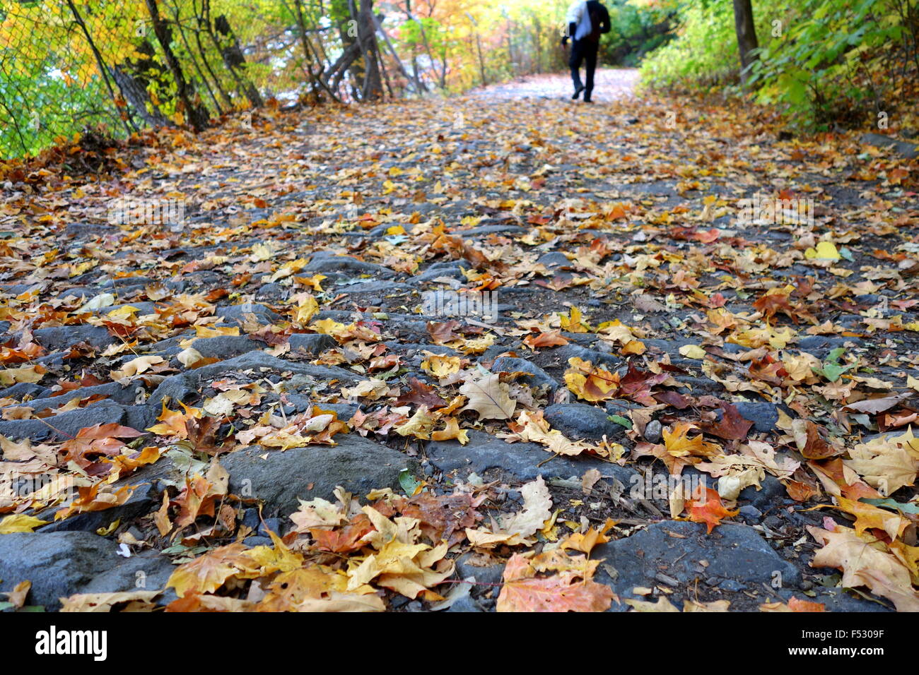 Fall foliage hiking hi-res stock photography and images - Alamy