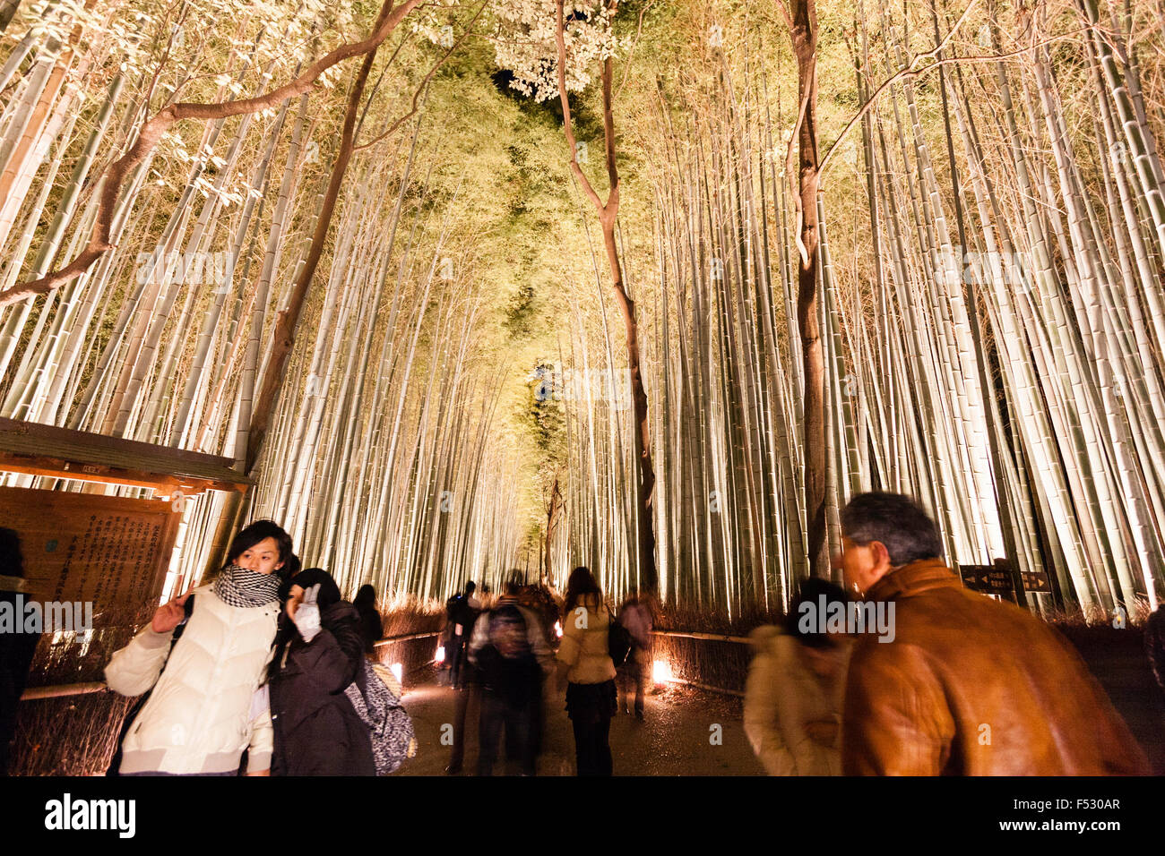 Japan, Kyoto, Arashiyama. Hanatouro festival. Famous bamboo grove ...