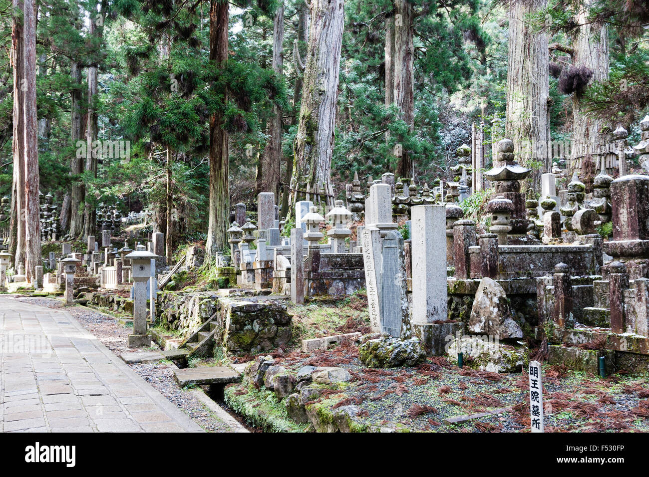 Koyasan, Okunoin cemetery, largest in Japan. Stone paved pathway ...