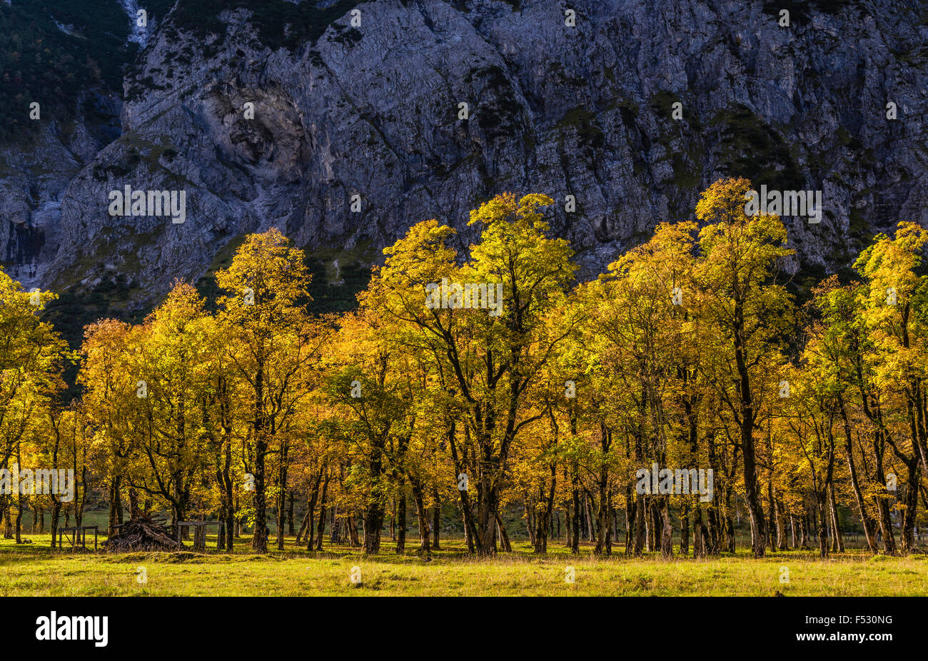 Austria, Tyrol, Karwendelgebirge (mountains), Alpenpark Karwendel ...