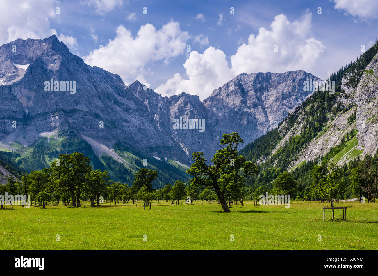 Austria, Tyrol, Karwendelgebirge (mountains), Alpenpark Karwendel ...