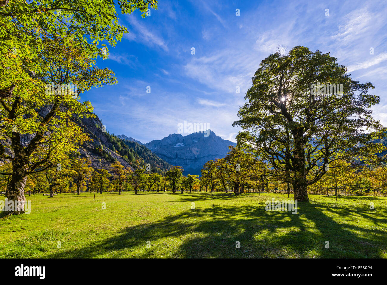 Austria, Tyrol, Karwendelgebirge (mountains), Alpenpark Karwendel ...