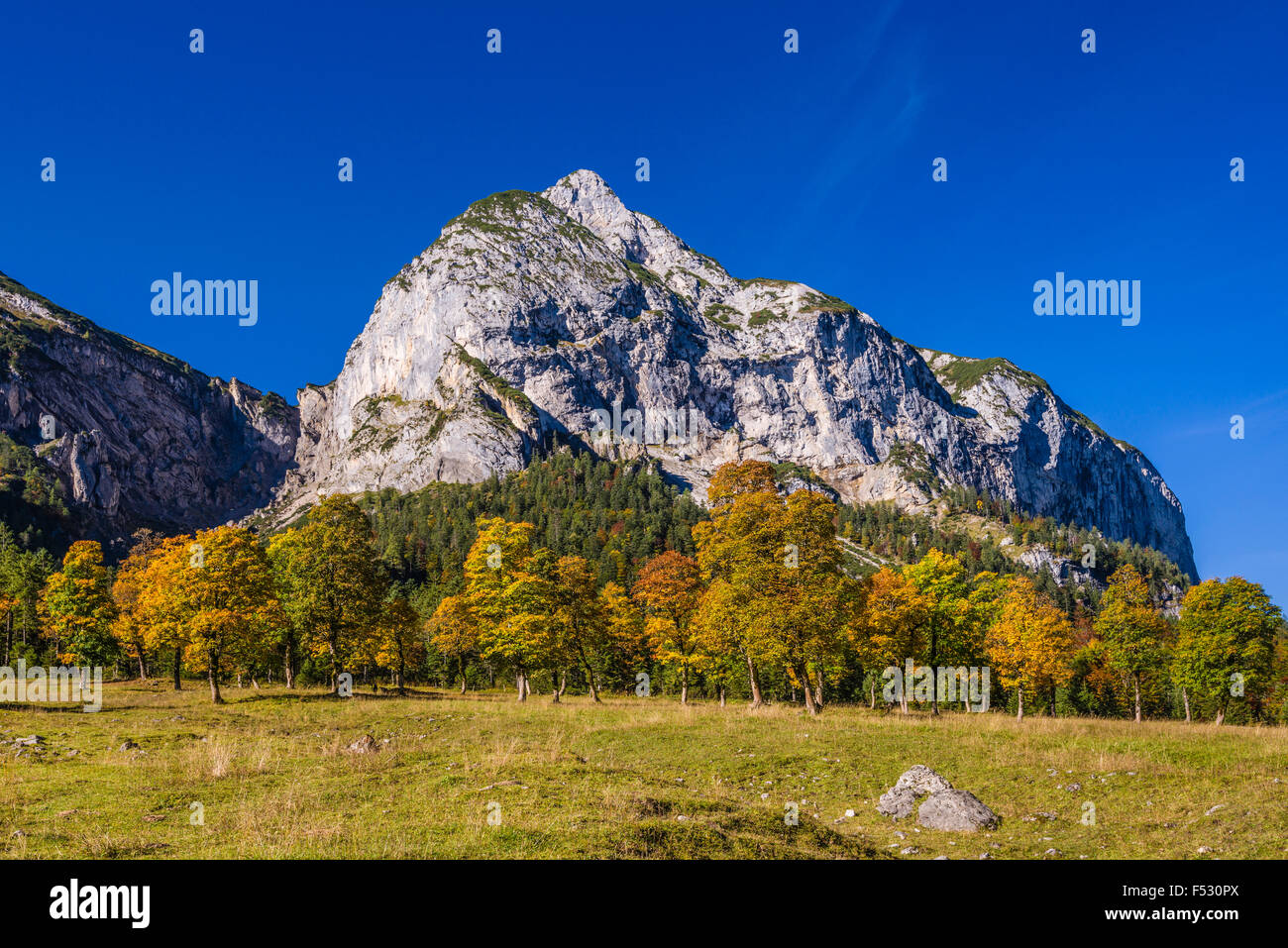 Austria, Tyrol, Karwendelgebirge (mountains), Alpenpark Karwendel ...