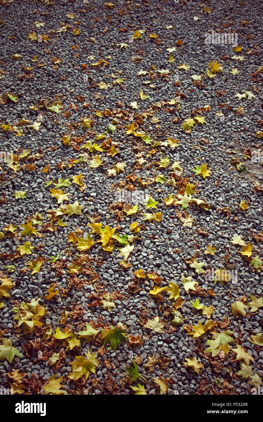 way, foliage, autumn Stock Photo - Alamy