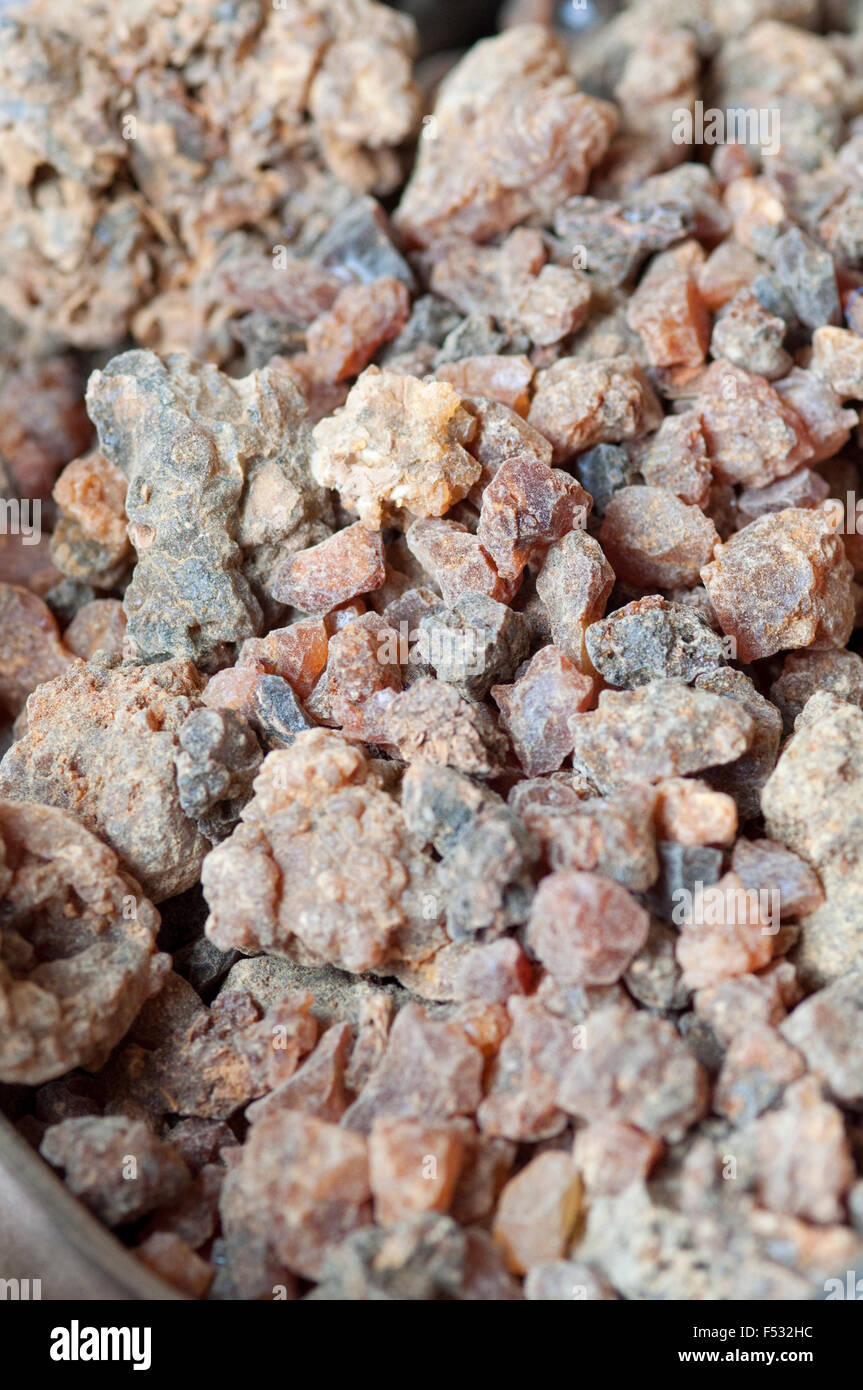 Commyphora myrrha hi-res stock photography and images - Alamy