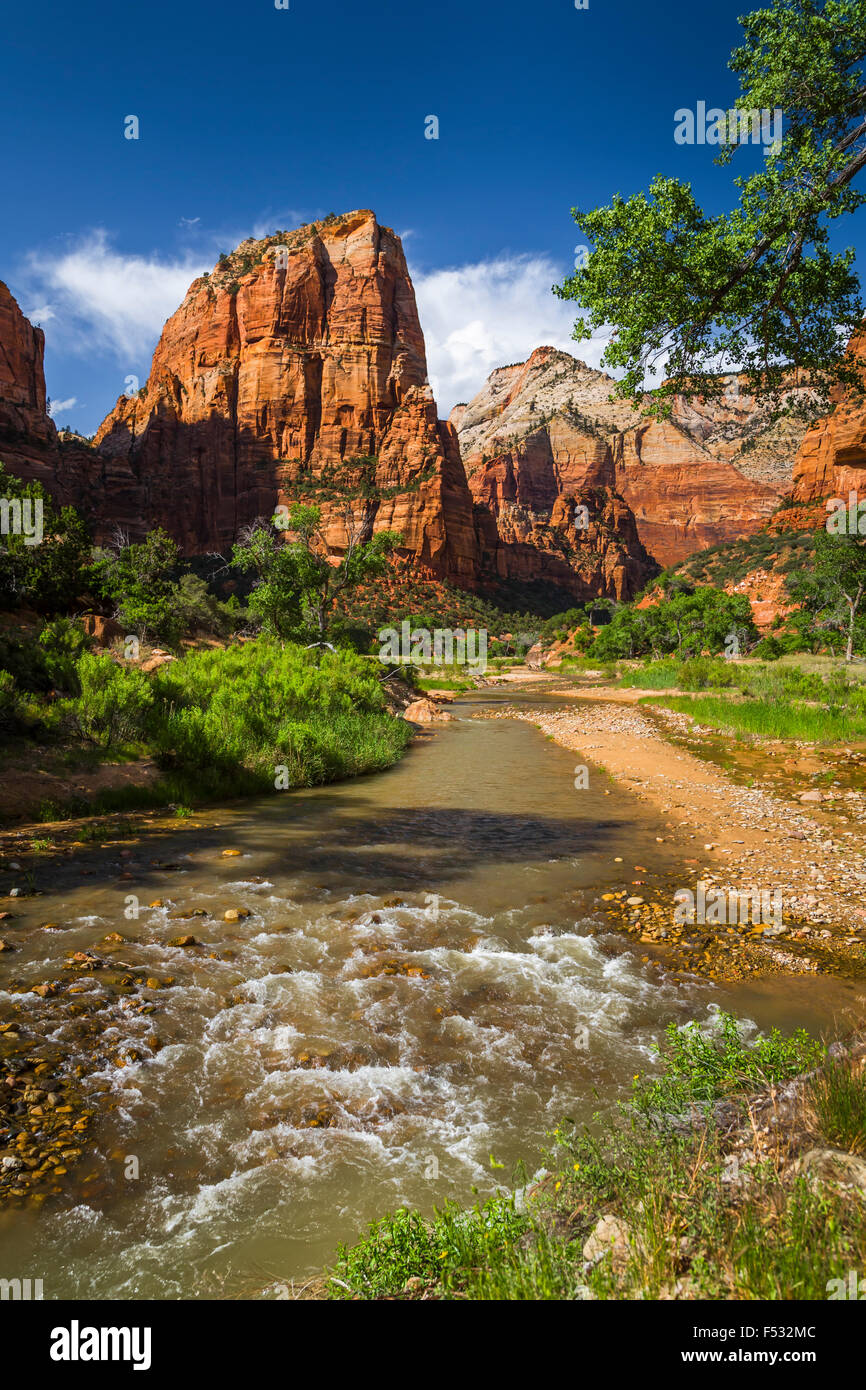 Lady mountain in zion national park hi-res stock photography and images ...