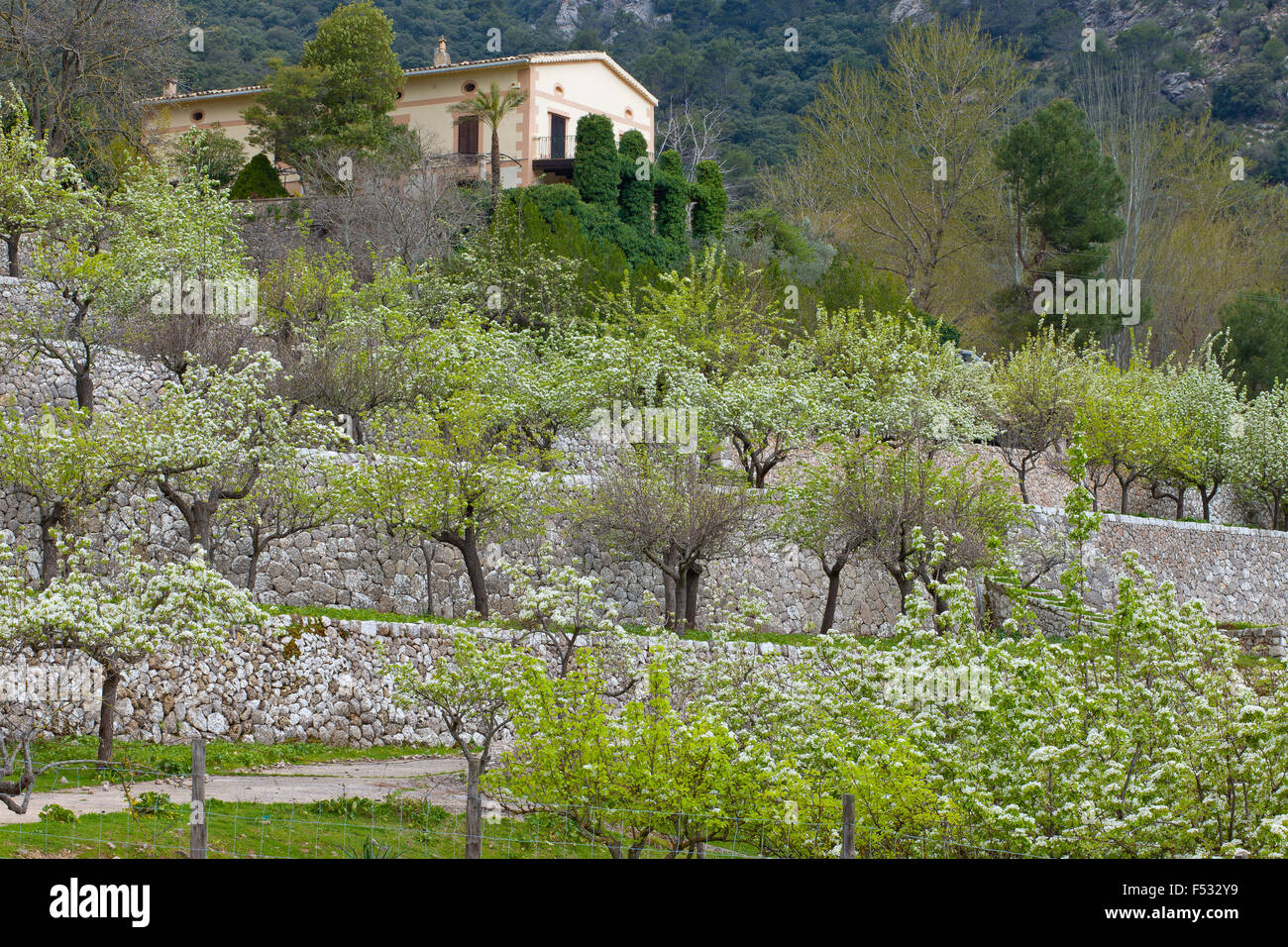 Spanish Balearic Islands, Island Majorca, Serra de Tramuntana Stock ...