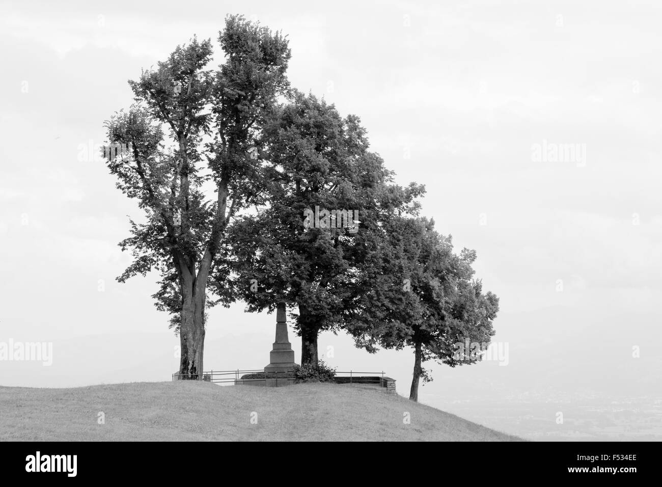 Under trees w Black and White Stock Photos & Images - Alamy