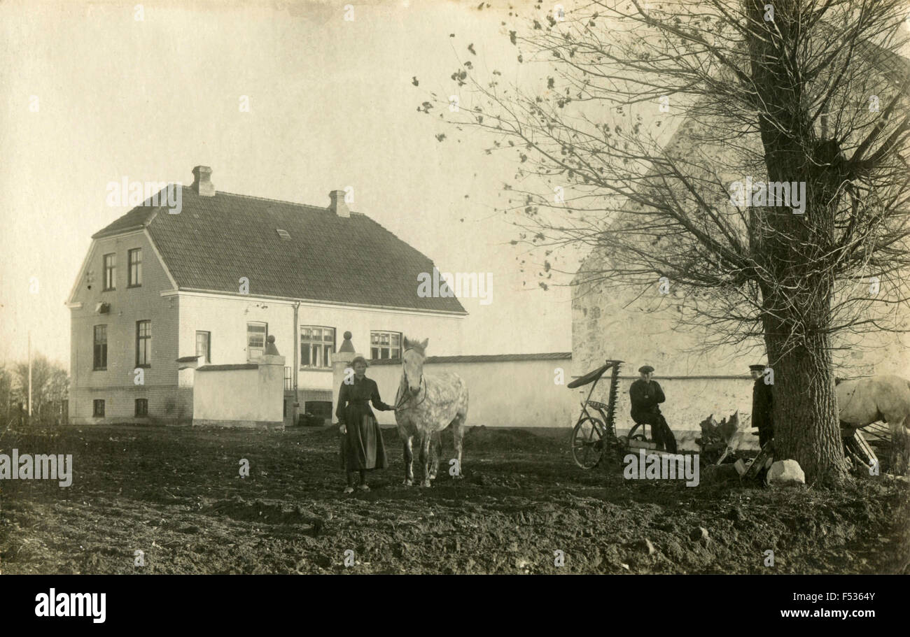 A farm , Denmark Stock Photo - Alamy