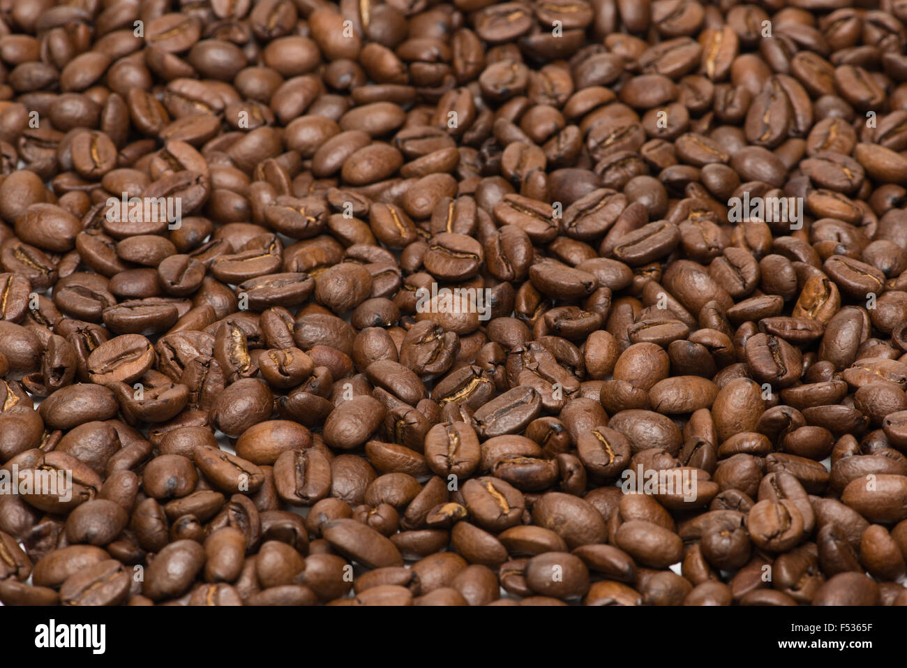 Seed of coffee on white background Stock Photo - Alamy