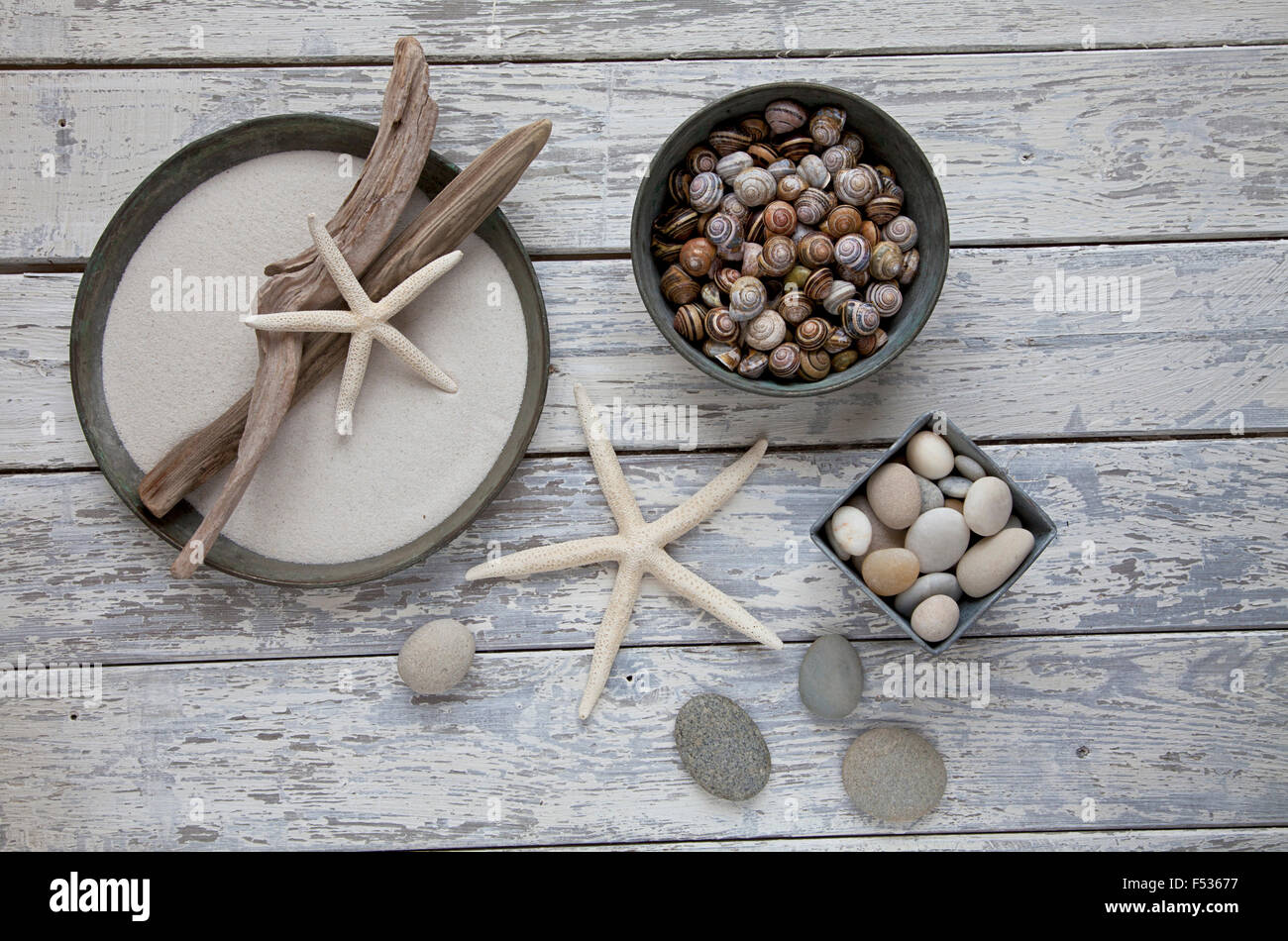 Still life, natural materials, stones, snail shells, starfish ...