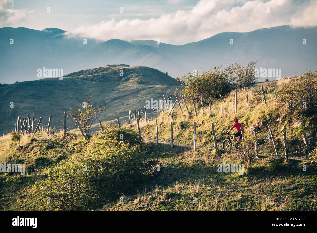 Mountain biker riding on bike singletrack trail hi-res stock ...