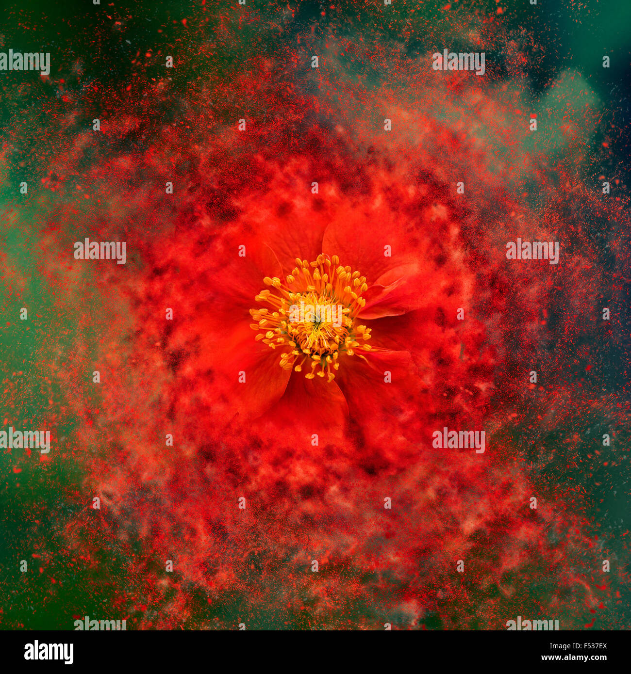 Blasting powder hi-res stock photography and images - Alamy