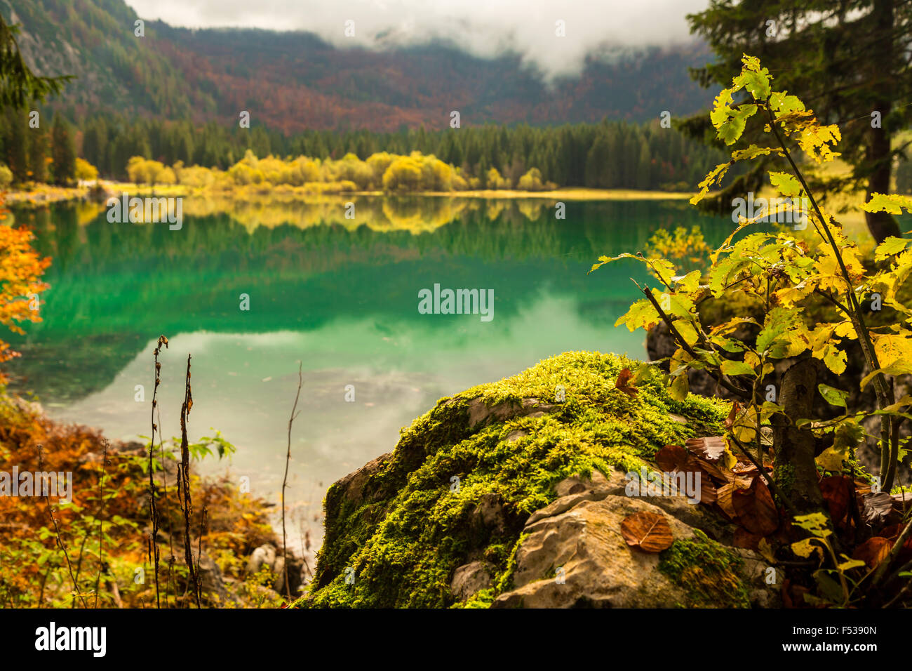 Fall in the italian alps in a misty day Stock Photo - Alamy