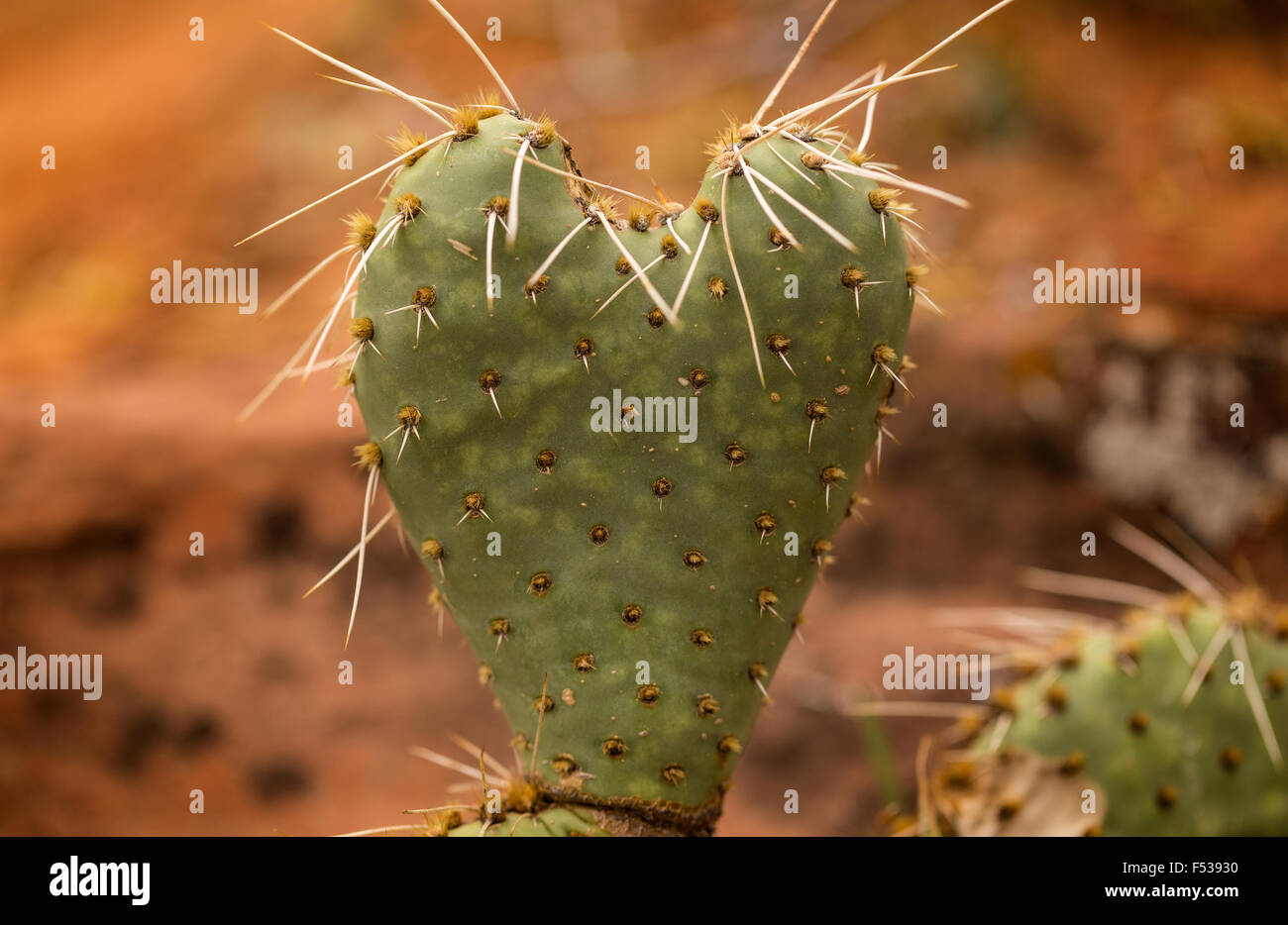 Utah heart hi-res stock photography and images - Alamy