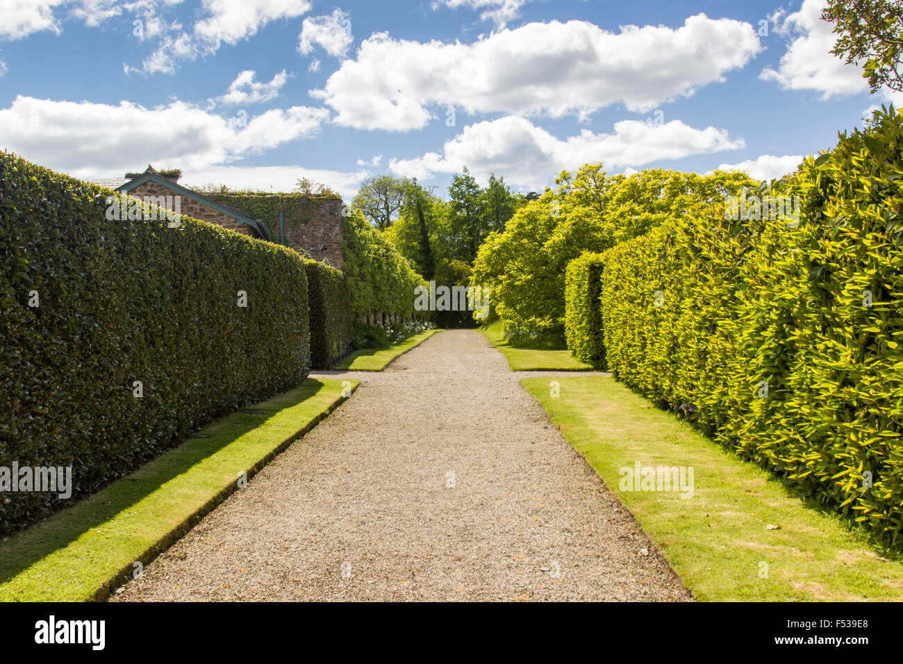 Lawn Hedges High Resolution Stock Photography and Images - Alamy