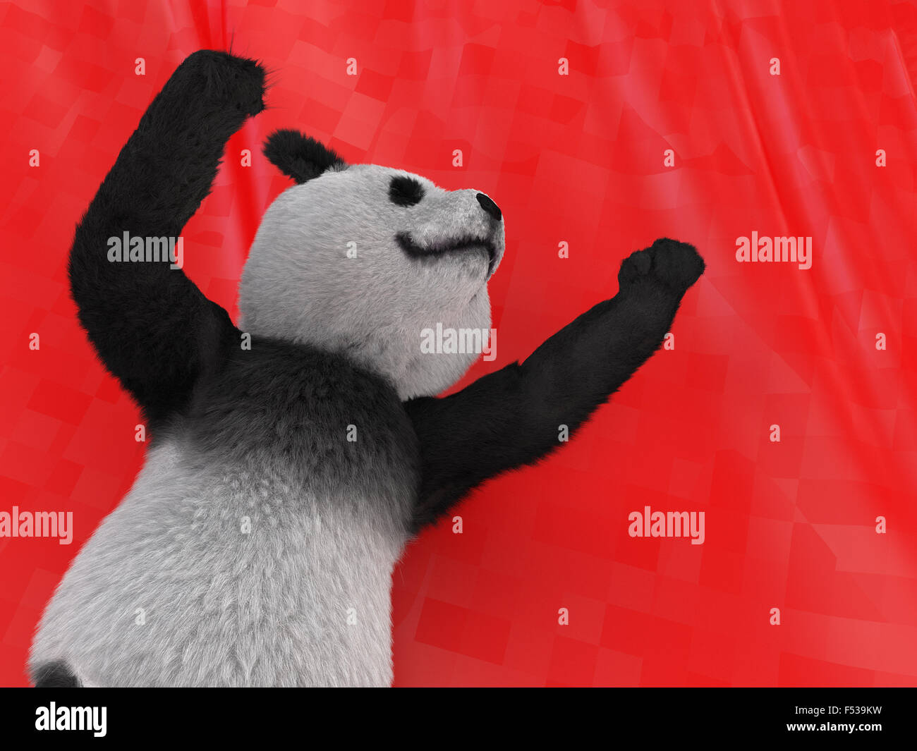 Panda pulls paw up hi-res stock photography and images - Alamy