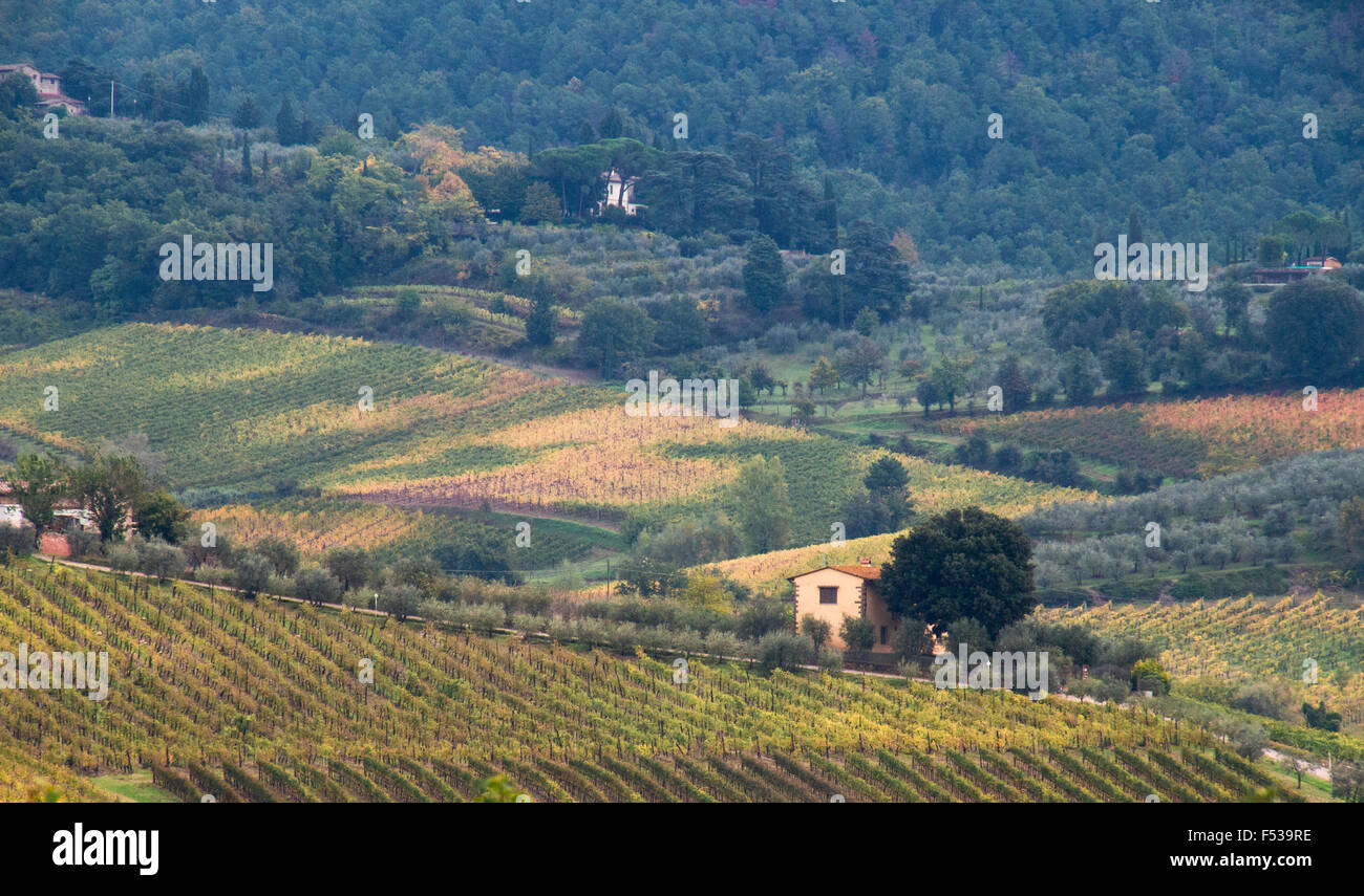 Europe, Italy, Tuscany. Countryside near Greti in Chianti Stock Photo ...