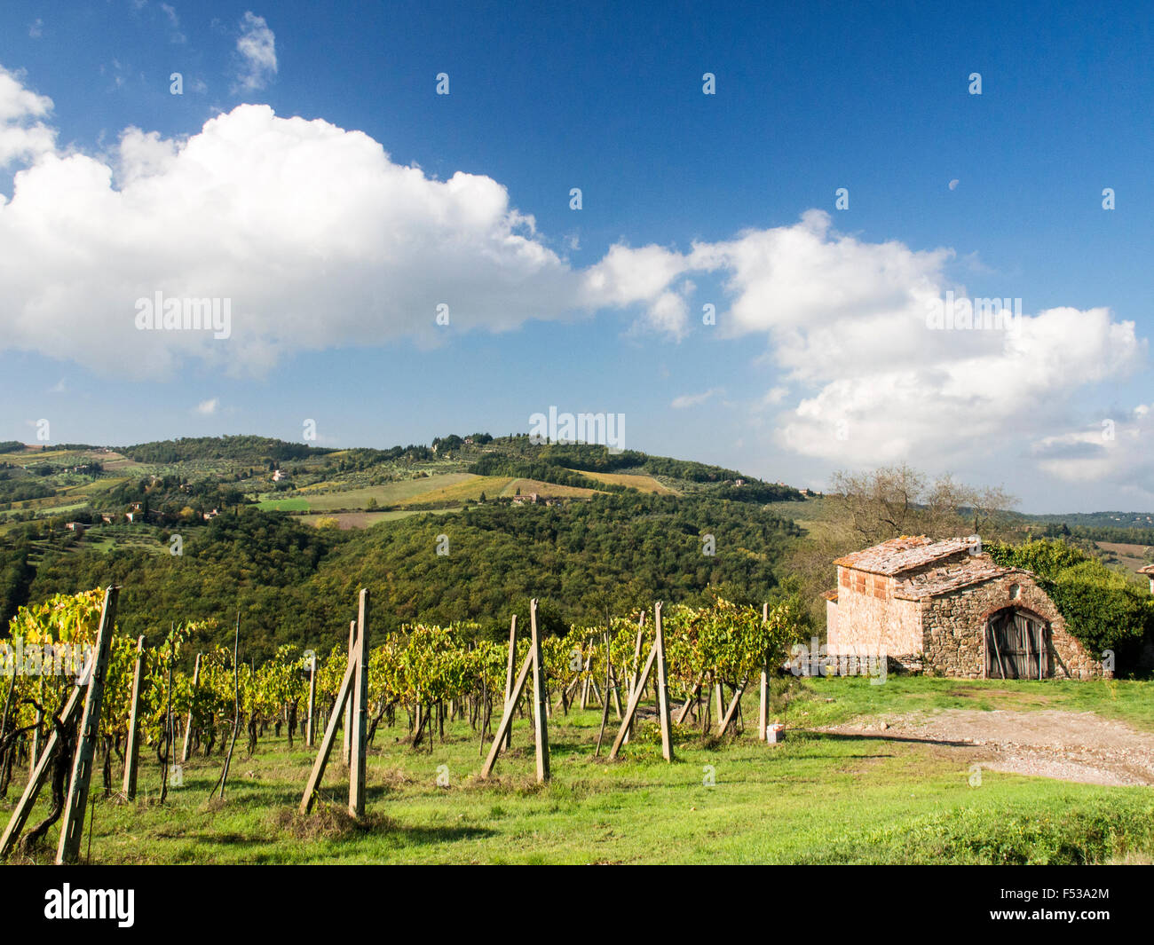 Europe, Italy, Tuscany. Old brick storage shed in a vineyard in the ...