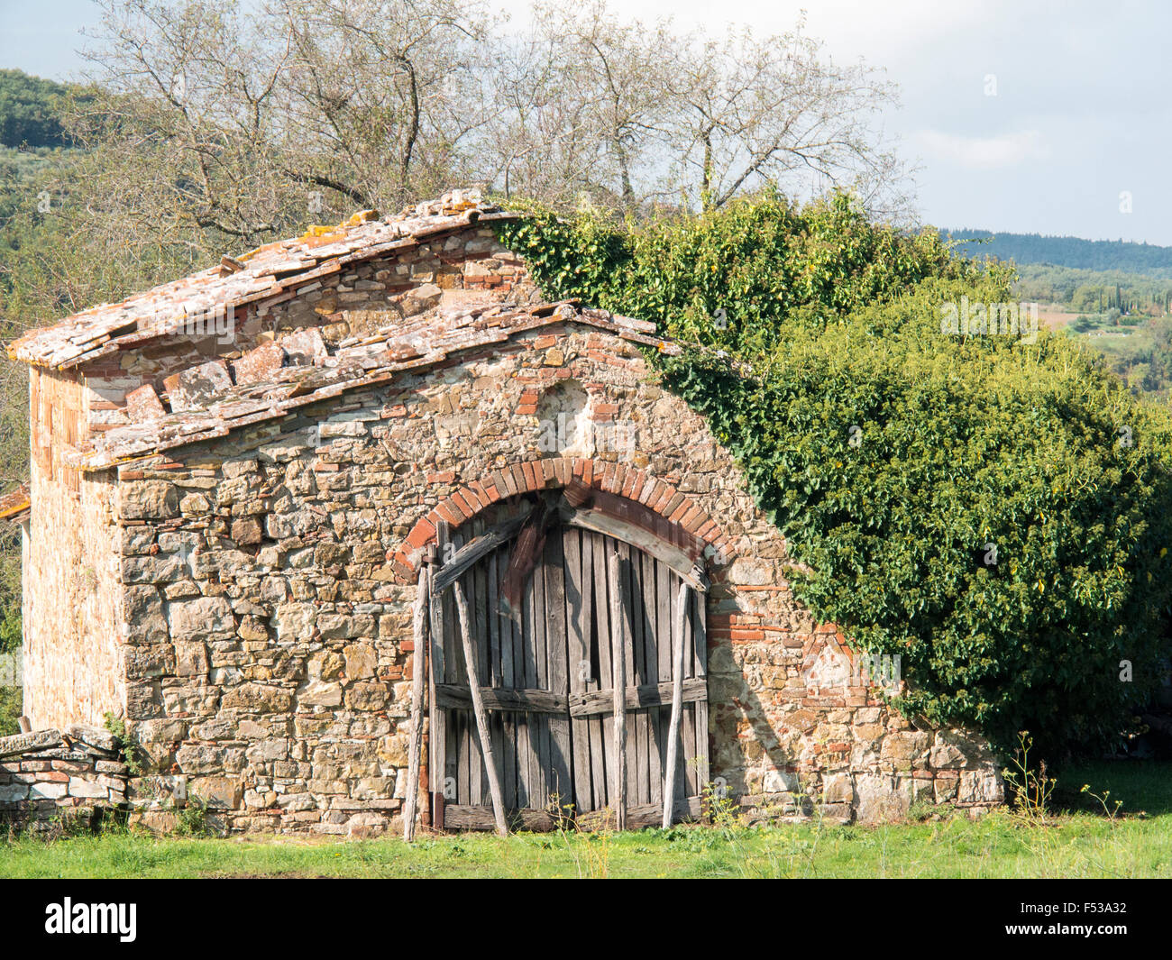 Europe, Italy, Tuscany. Old brick storage shed in a vineyard in the ...