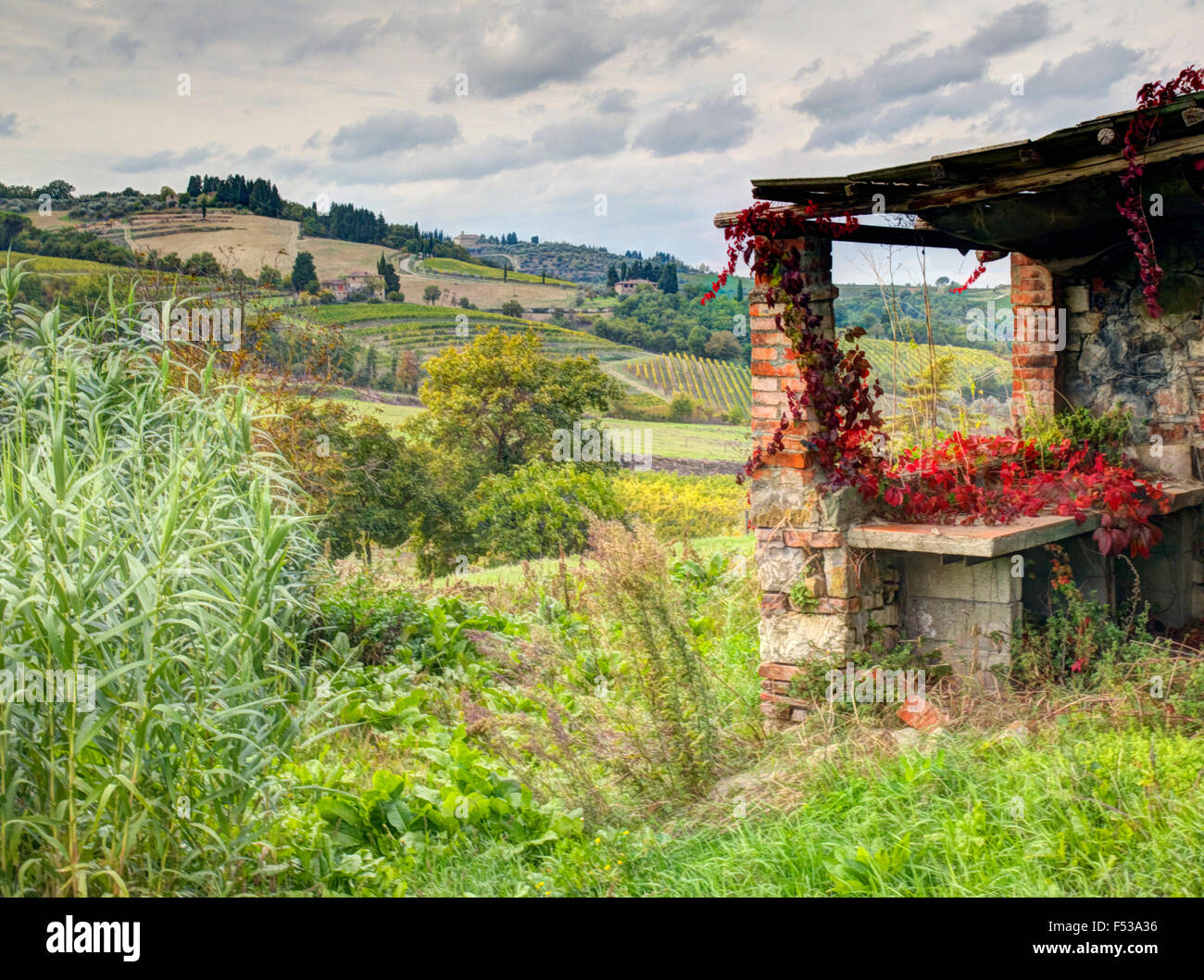 Europe, Italy, Tuscany. Old shed overlooking a vineyard in the Chianti ...