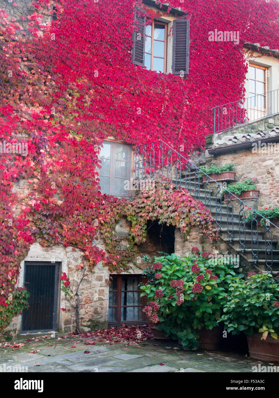 Ivy walls hi-res stock photography and images - Alamy